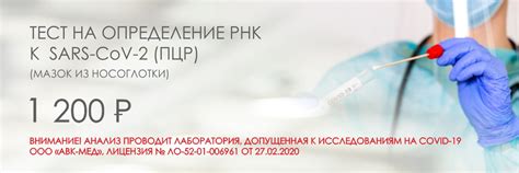 Пцр Тест На Коронавирус Фото — Картинки