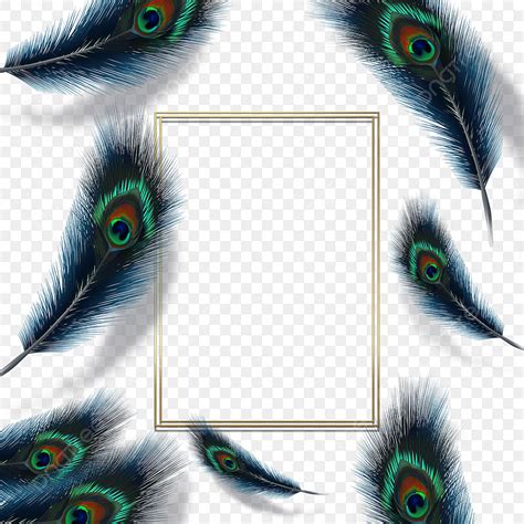 Peacock Feather Corner Border