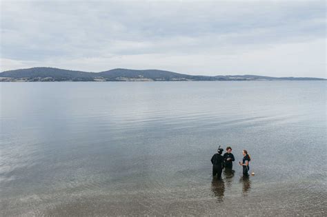 Tasmania Seagrass Restoration Trial Ozfish Unlimited