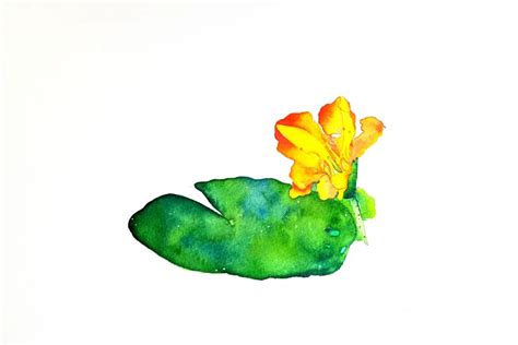 藏文科普 雎鸠到底是啥鸟