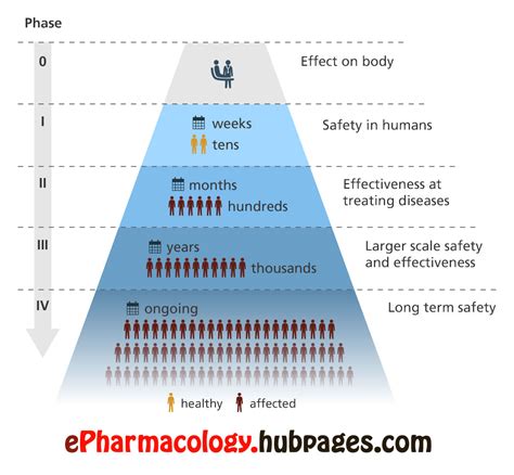 How Are Drugs Developed And Approved The Drug Development Process