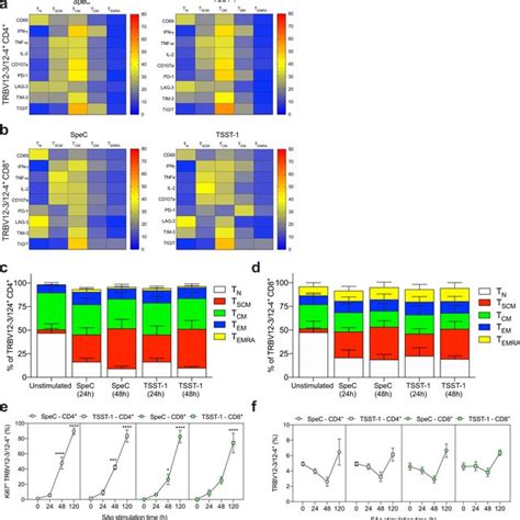 Spec And Tsst 1 Induce Polyfunctional Trbv12 3 12 4⁺ Cd4⁺ And Cd8⁺ T