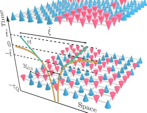 Quantum Phase Transition Dynamics In The Two Dimensional Transverse