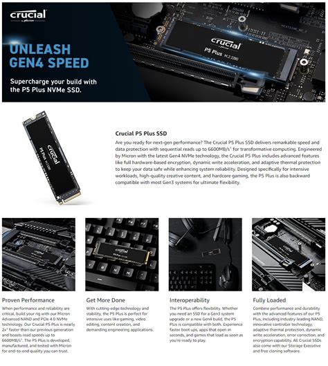 Netcodex Ph Crucial P Plus Tb Pcie Gen Local Ph Distributor Warranty Up To Mb S