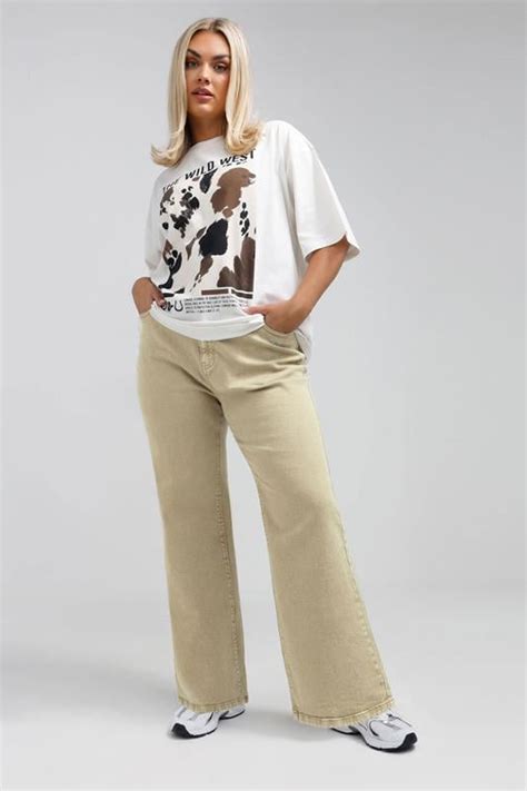 Plus Size Straight Leg Jeans Evans