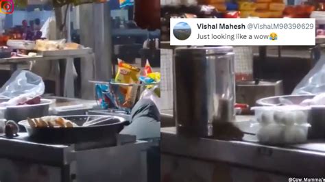 Video Shows Rat Infested Irctc Food Stall At Railway Station In Madhya