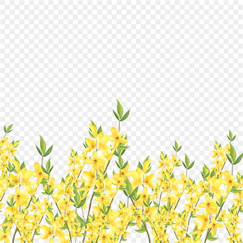 수채화 노란색 개나리 꽃 일러스트 테두리 소재 우주 꽃가지 식물 노랑 Png 일러스트 및 Psd 이미지 무료 다운로드