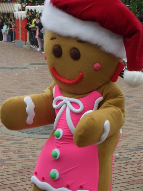 Ginger Meow Dream Walden