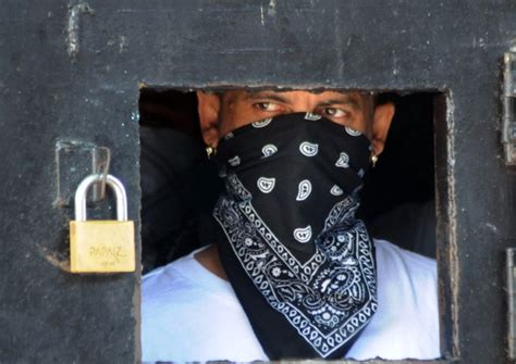 13 Alleged Ms 13 Gang Members Indicted For 7 Ny Killings
