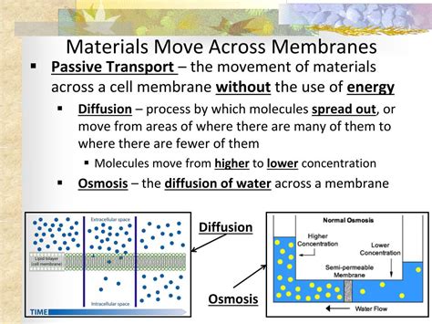Ppt Notes Life And The Cell Powerpoint Presentation Free Download