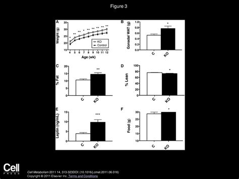 Volume 14 Issue 3 Pages September 2011 Ppt Download