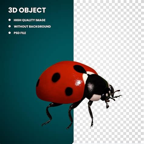 Página 2 Psd Joaninha Elegancia Perto 100 Modelos Psd Grátis De Alta Qualidade Para Download