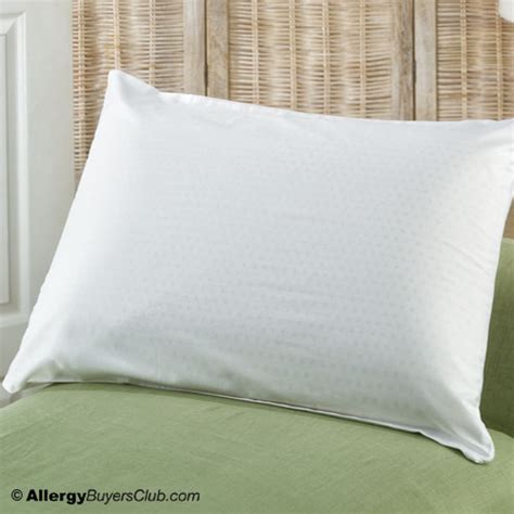 Dust Mite Covers And Encasings Allergyconsumerreview