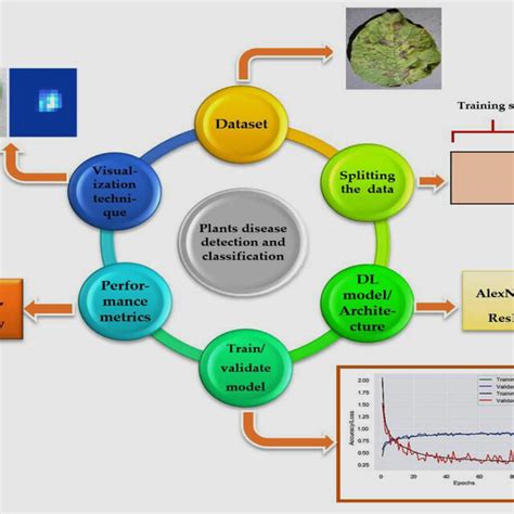 Classification Of Diseased Plant Leaves Using Genetic Algorithm Block Download Scientific