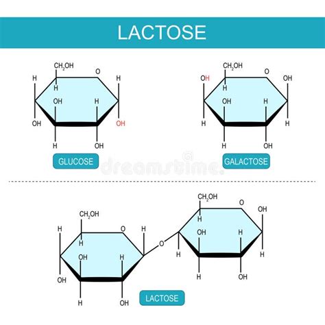 Monosaccharide Glucose Stock Illustrations 247 Monosaccharide Glucose Stock Illustrations
