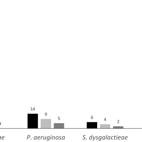 Microbial Distribution Of The Most Common Bacteria Isolated From