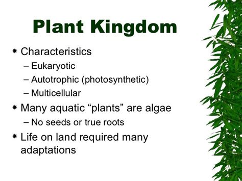 Difference Between Hydrophytes Mesophytes And Xerophytes
