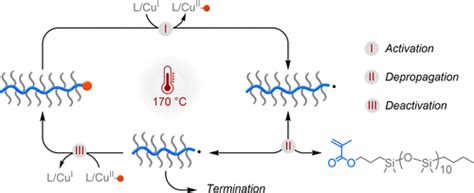 Ppdms 11 Ma 瓶刷通过原子转移自由基聚合与活化剂再生的解聚macromolecules X Mol