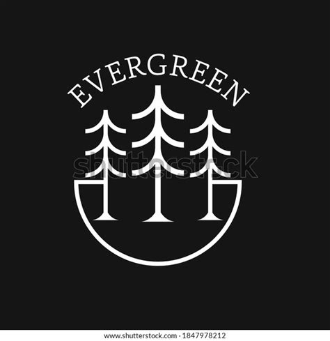 Evergreen Logo Vector Premium Symbol Evergreen เวกเตอร์สต็อก ปลอดค่า