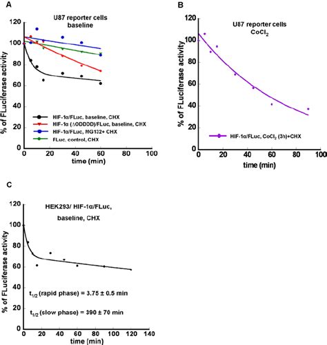 Assessment Of Hif 1 A Fluc Degradation In U87 And Hek293 Cells Under