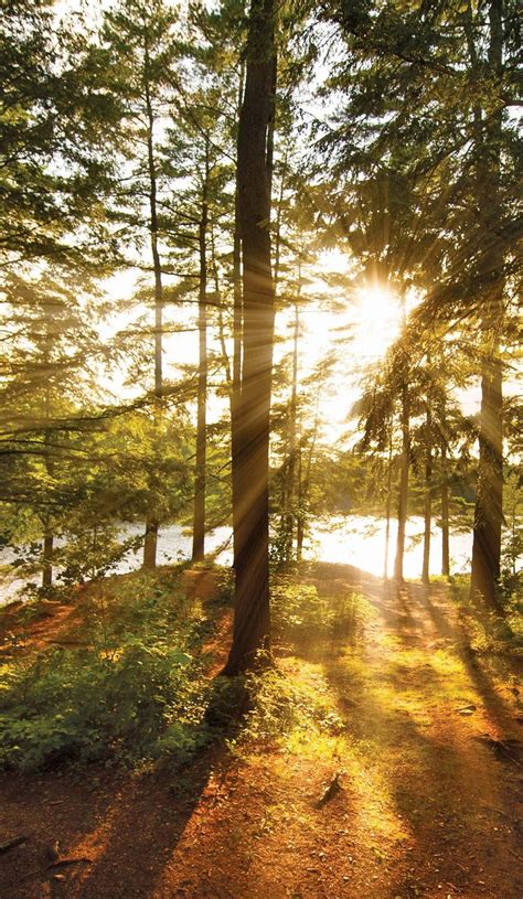 Fixed Index Annuities Reasons To Consider Allianz Life