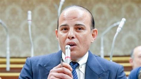 برلمانى توجيهات الرئيس بالرد على أسئلة الحوار الوطنى تدعم الخروج