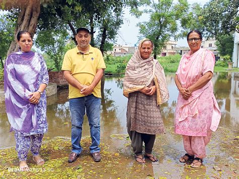 ਸਕੂਲ ਤੇ ਆਂਗਣਵਾੜੀ ਸੈਂਟਰ ਗੰਦੇ ਪਾਣੀ ਨਾਲ ਭਰੇ Punjabi Tribune
