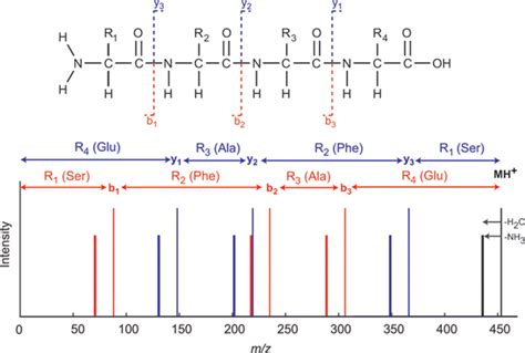 small molecule lc ms ms fragmentation data analysis and application to