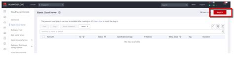 Infosyte How To Create HUAWEI Elastic Cloud Server ECS