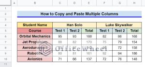 How to Copy and Paste Multiple Columns in Google Sheets
