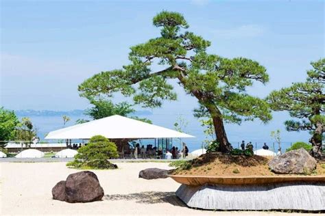 5 Oldest Bonsai Trees In The World Bonsai2u
