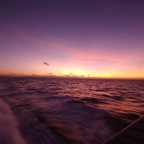 Nothing Better Than A Sunset From A Boat On The Ocean Imo R Oceans