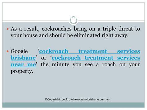Ppt Cockroach Control Gone Wrong Powerpoint Presentation Free