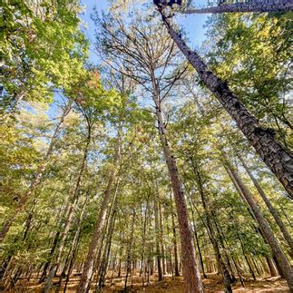 Ultimate Girls Weekend Getaway A 2 Night Itinerary In Hochatown Broken Bow OK