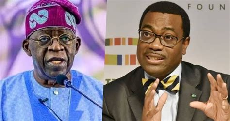 Afdb President Tasks Tinubu On Inclusiveness Fairness Justice