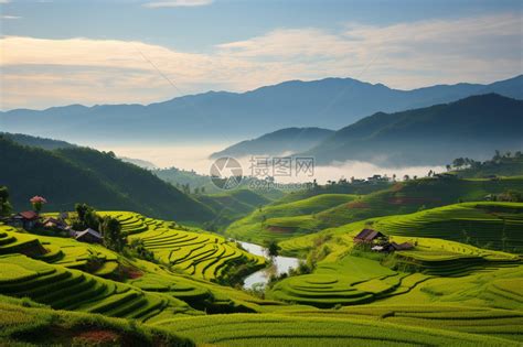 绿油油的农田高清图片下载 正版图片600324212 摄图网