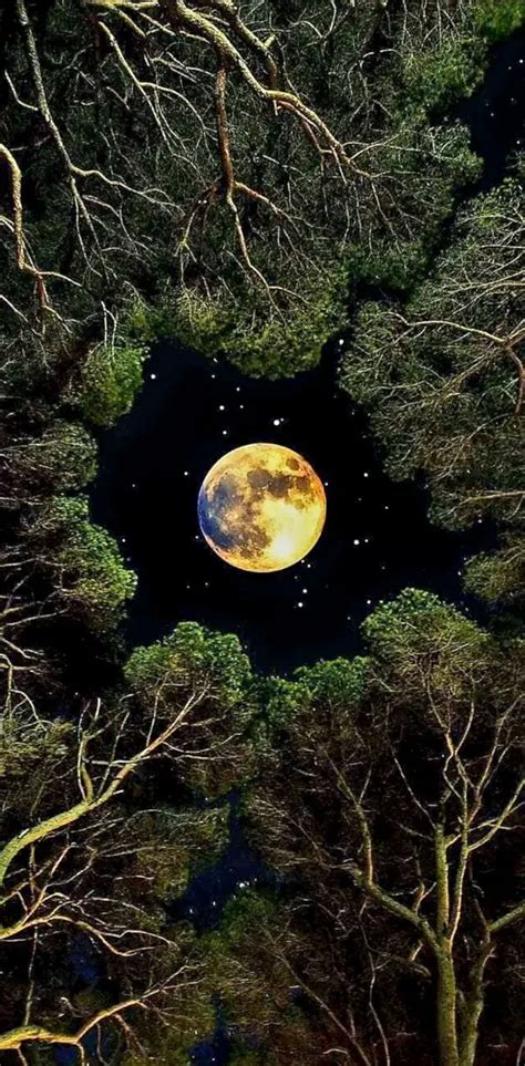 Moon Wallpaper By Raiskhan70 Download On Zedge™ 0ca9