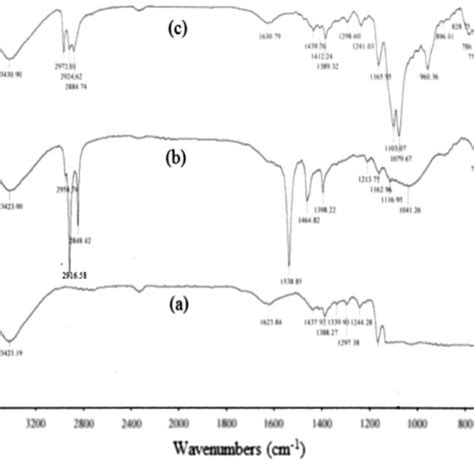 Ftir Spectra Of A Unmodified Nano Zno B Stearic Acid Treated Nano Zno Download Scientific
