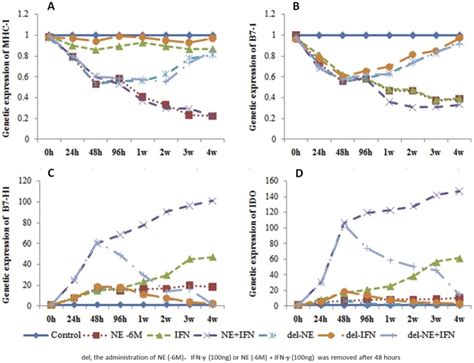 Ne Ifn γ Had Time Dependent Suppressive Effects On Mhci And B7 1 And