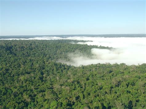 Territórios Indígenas São Os Maiores Responsáveis Pela Preservação De