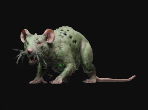 Make A Radioactive Scary Rat With Wholes Missing In The Rat And It