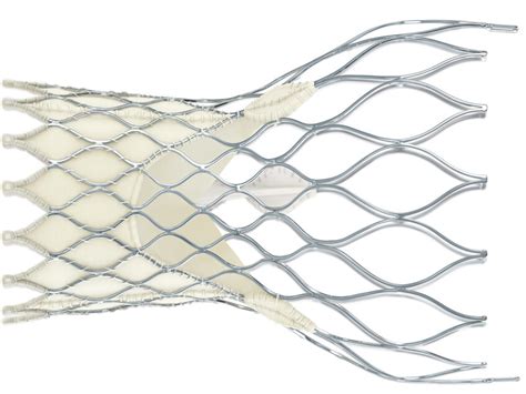 Medtronic Tempus Alert To Disparities In Valve Replacement Bioworld