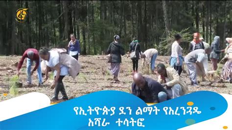 የኢትዮጵያ ደን ልማት የአረንጓዴ አሻራ ተሳትፎ Youtube