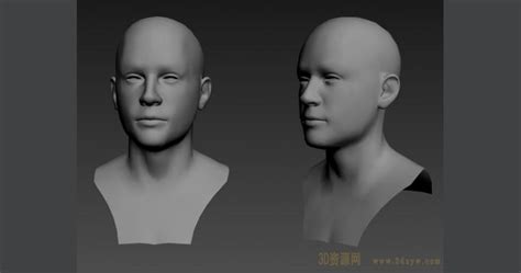 写实人头模型 3D资源网 国内最丰富的3D模型资源分享交流平台