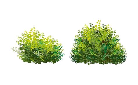 Векторы на тему «Куст — скачивайте бесплатные векторы высокого качества на Freepik Freepik