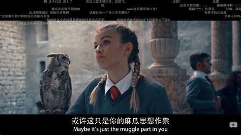 伏地魔的前世今生 你所不知道的黑魔王的故事（哈利波特最新同人电影全解析） 哔哩哔哩