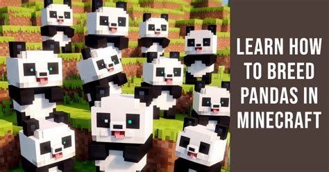Minecraft Panda Breeding For Beginners
