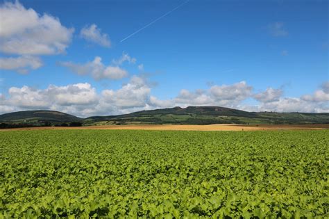 The Beautiful And Iconic Devils Bit Tipperary Tourism