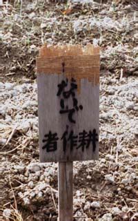 19 茶々入れ2 ハリガミ看板 お散歩 Photo Album