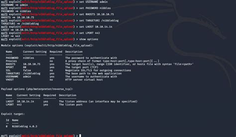 hack the box nibbles walkthrough steflan s security blog
